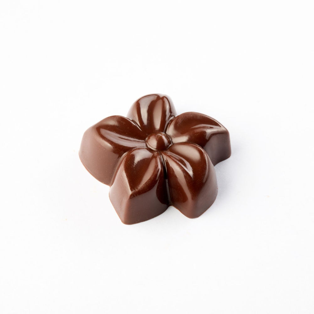 Professional Chocolate Equipment and moulds | Pavoni Italia